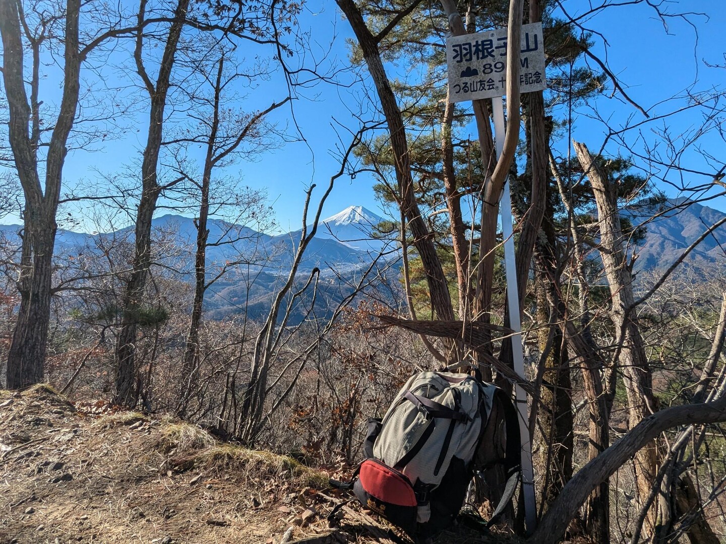 Takagawa-yama through minor route / ANZさんの高川山の活動データ | YAMAP / ヤマップ