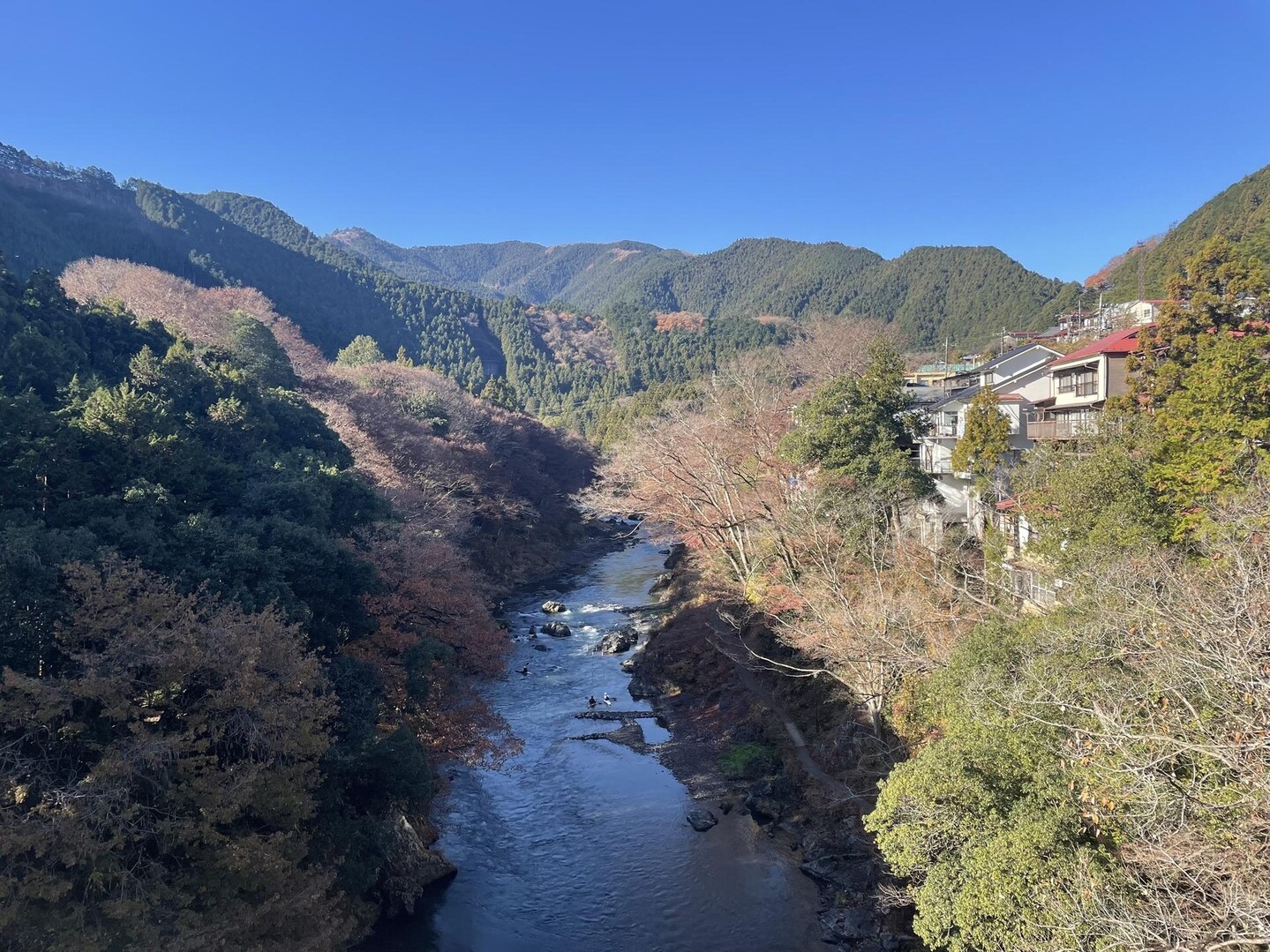 LANI HEAD TRAIL (御嶽駅〜武蔵五日市駅) / おうまさんさんの大岳山・御岳山・御前山の活動日記 | YAMAP / ヤマップ