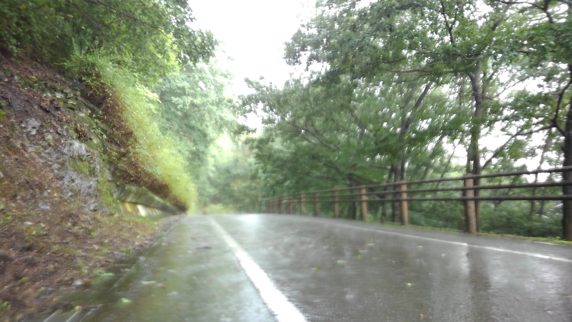 やっぱり降られちゃった by三毳 / saeさんのモーメント | YAMAP / ヤマップ