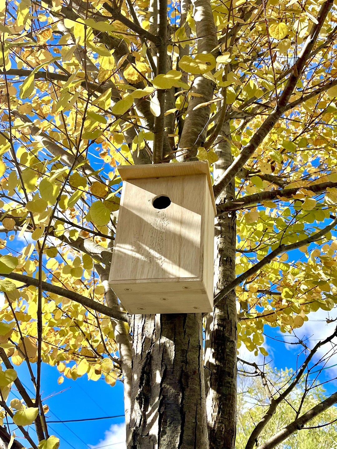 もう台風🌀も来ることもないかな。 以前... / leoleonさんのモーメント | YAMAP / ヤマップ