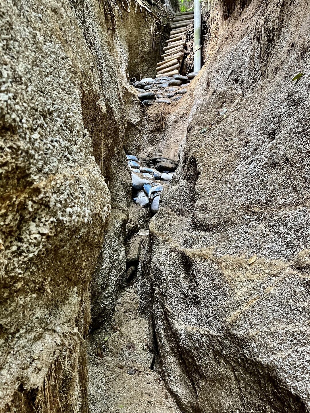 HISA🌿さんの投稿したフィールドメモ | YAMAP / ヤマップ