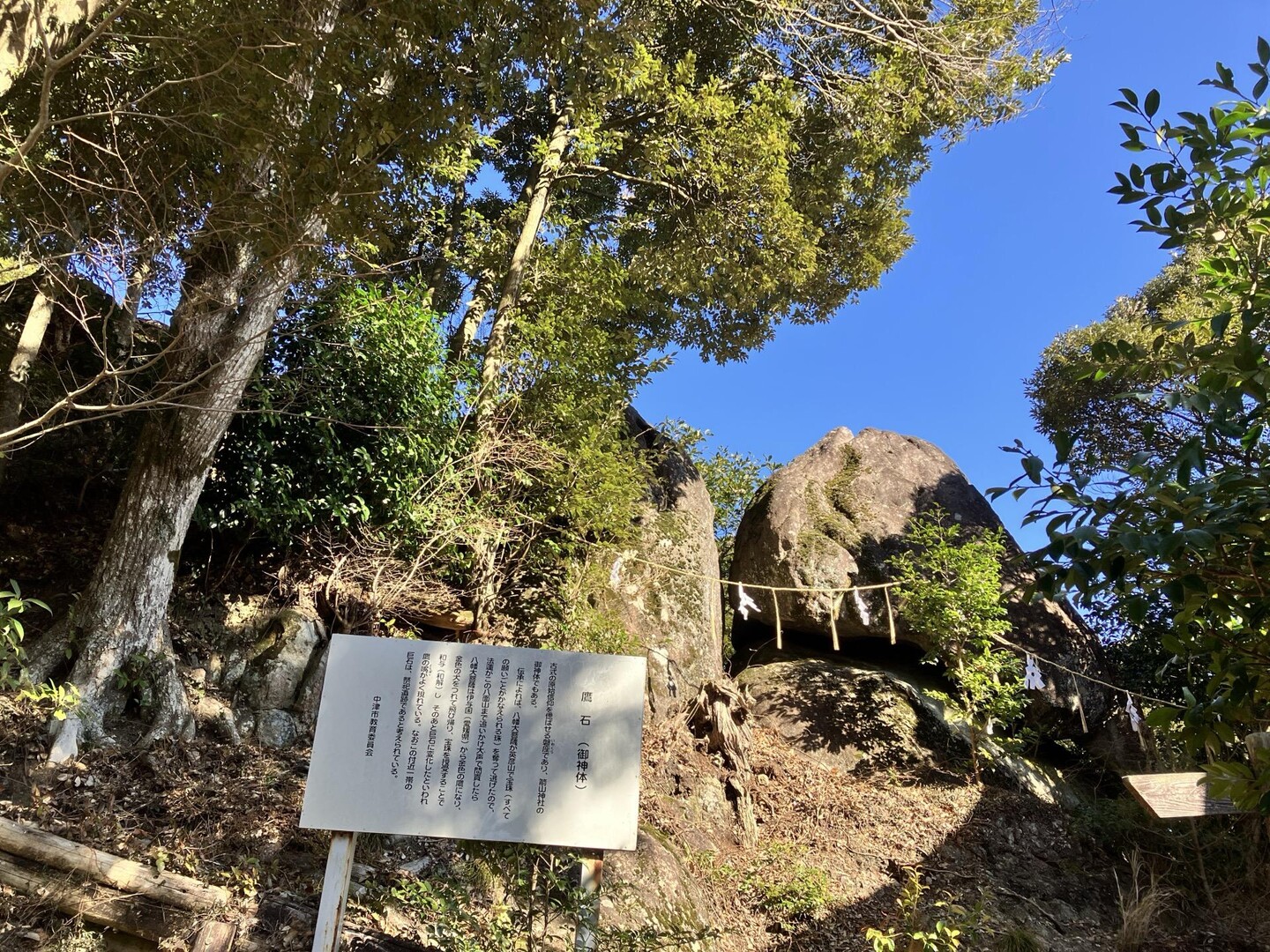 令和7年初登山！八面山北峰・八面山 / チャボ1960さんの八面山の活動データ | YAMAP / ヤマップ