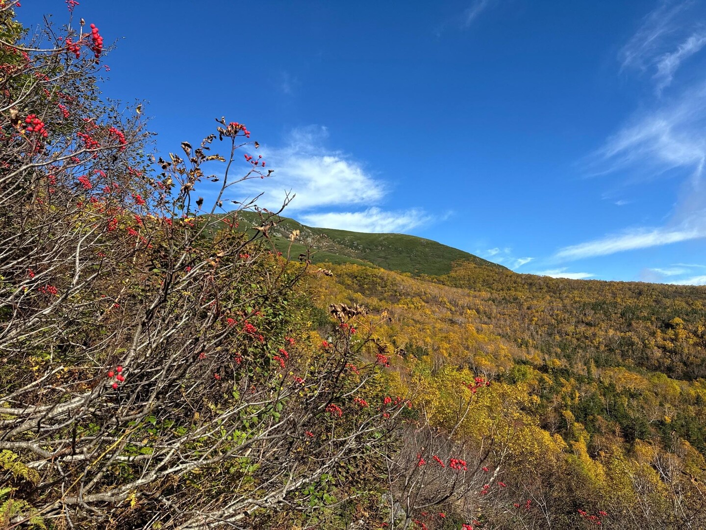 朝日岳・蚕玉岳・乗鞍岳（剣ヶ峰） / ねじりんぼうさんの乗鞍岳の活動データ | YAMAP / ヤマップ