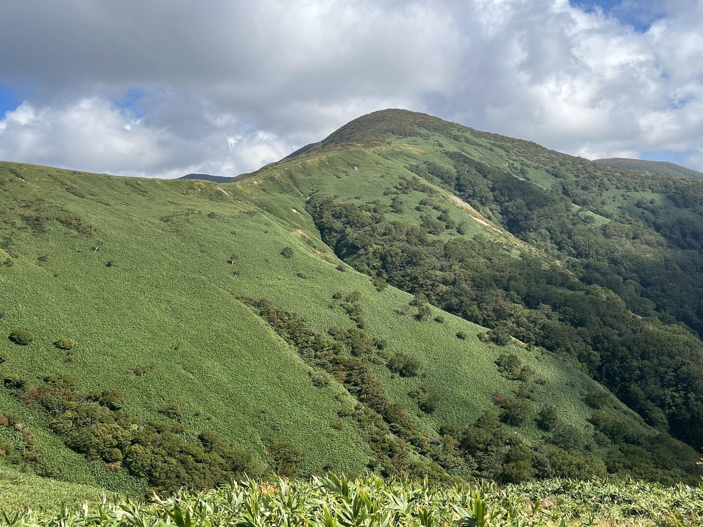 和賀岳-2024-09-29 / Ma-buさんの和賀岳・薬師岳・高下岳の活動データ | YAMAP / ヤマップ