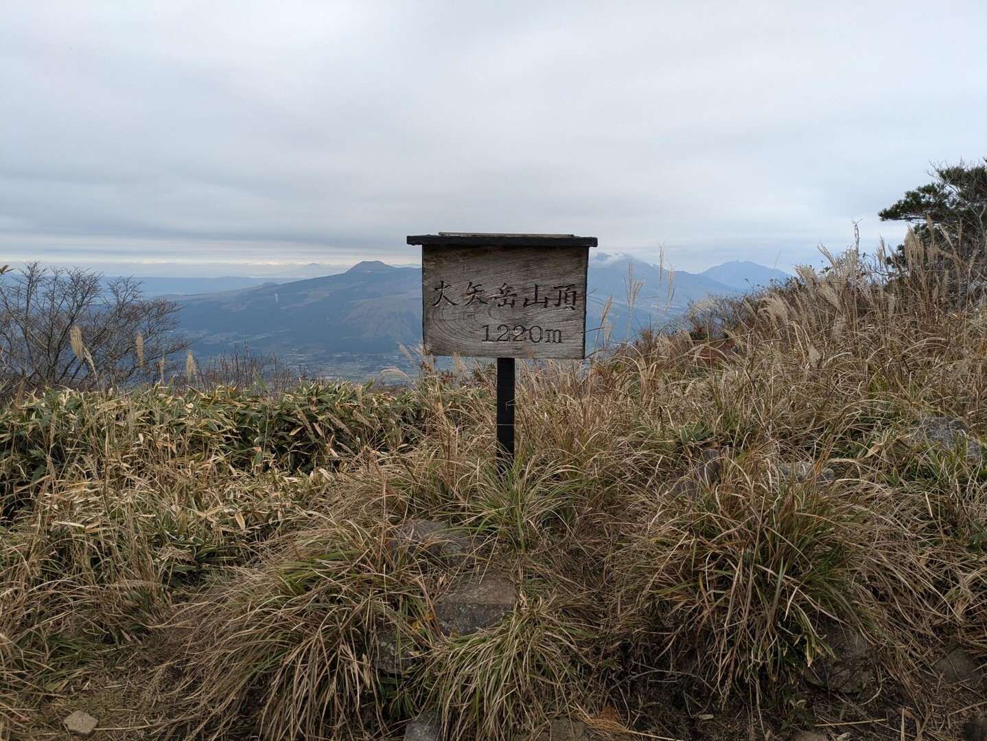 大矢岳 / nonさんの俵山・冠ヶ岳・清栄山の活動データ | YAMAP / ヤマップ