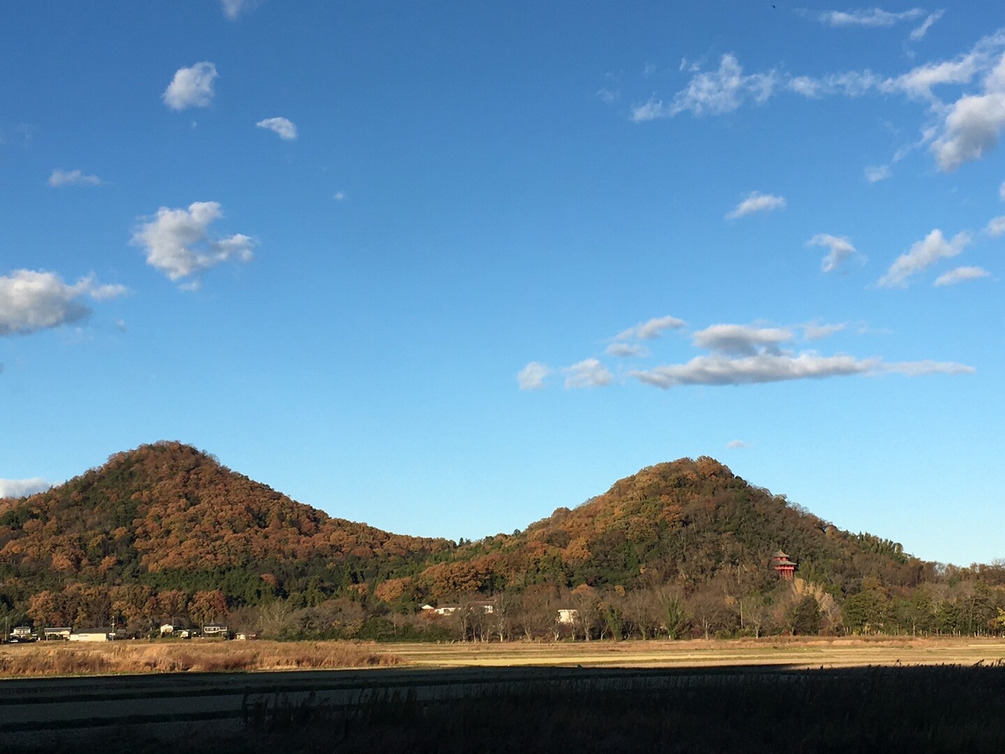 出流原弁天池-2021-11-28 / KENヶ峰さんの鳩ノ峰・山王山・寺久保山の活動データ | YAMAP / ヤマップ
