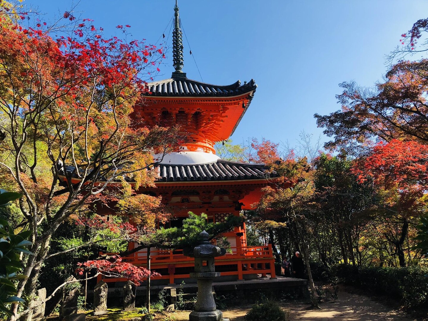 〇高峠山・ 宗箇山 / Coo・kie（くぅ🗝️）さんの広島市の活動データ | YAMAP / ヤマップ