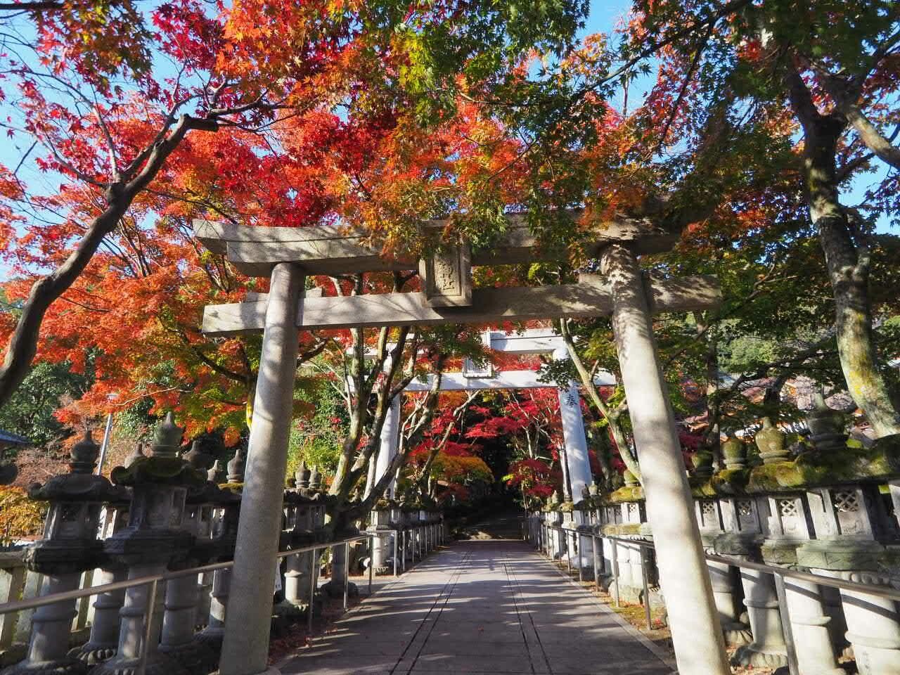 ★ 高御位山 ★ タカミー最高‼️ / sakura.nnさんの高御位山・播磨アルプスの活動データ | YAMAP / ヤマップ