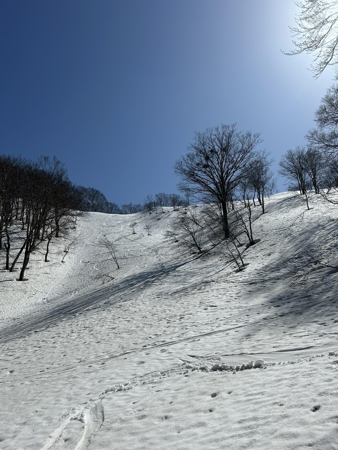 鍋倉山 / nakkoさんの毛無山・黒岩山・鍋倉山・信越トレイル（赤池・希望湖・桂池・関田峠）の活動日記 | YAMAP / ヤマップ