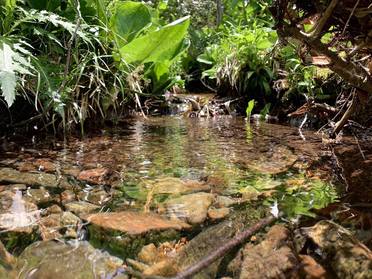 取立山 / JIROさんの取立山の活動データ | YAMAP / ヤマップ