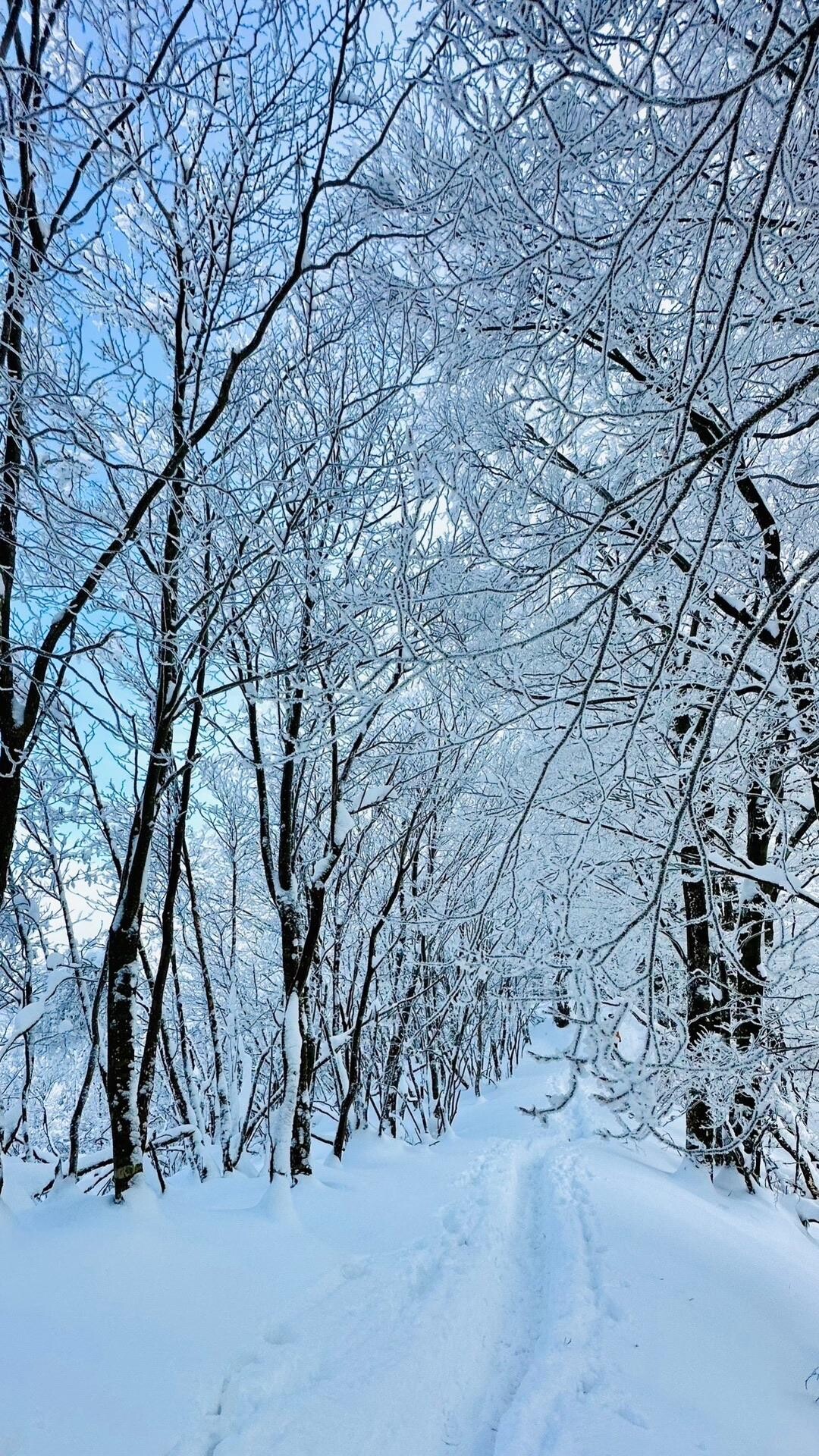 雪山始め / RUBYさんの国見山の活動データ | YAMAP / ヤマップ