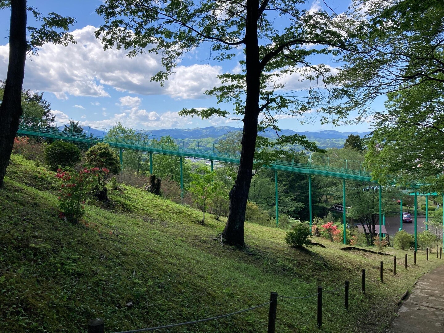 仙元山#243〜お久さなお山歩🚶‍♀️ / taoさんの武蔵嵐山・大平山・仙元山の活動データ | YAMAP / ヤマップ