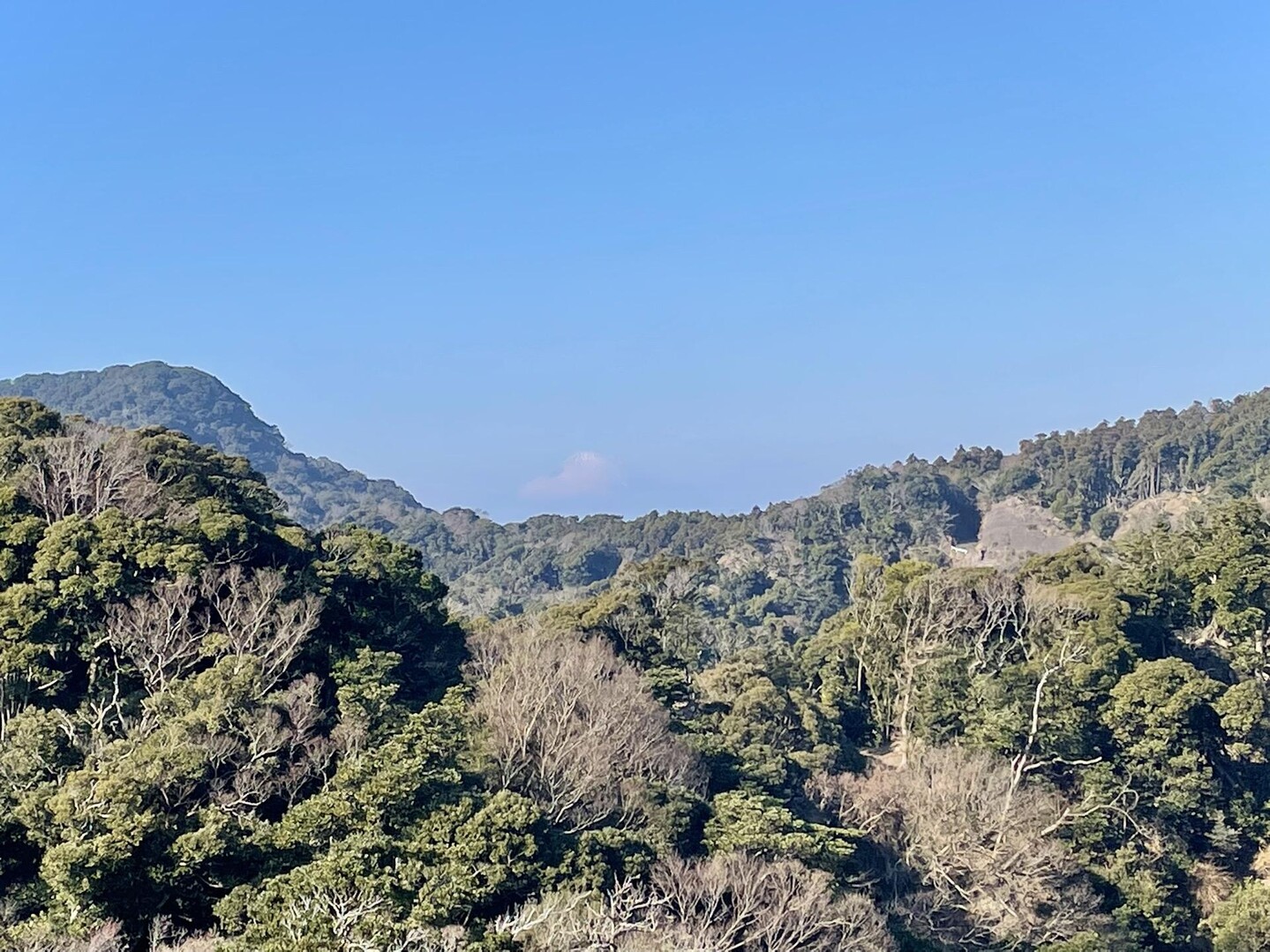 おもてなしコースを下見👀 / モガンボさんの鋸山の活動データ | YAMAP / ヤマップ