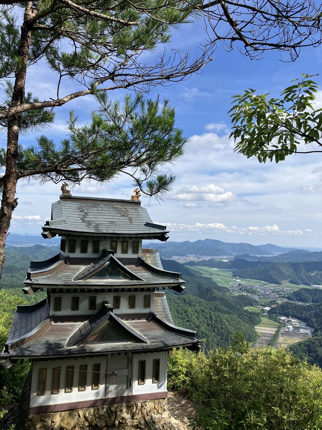古城山登山口>古城山>はじかみ林道登山口-周回-2024-06-29 / KNさんの古城山の活動日記 | YAMAP / ヤマップ