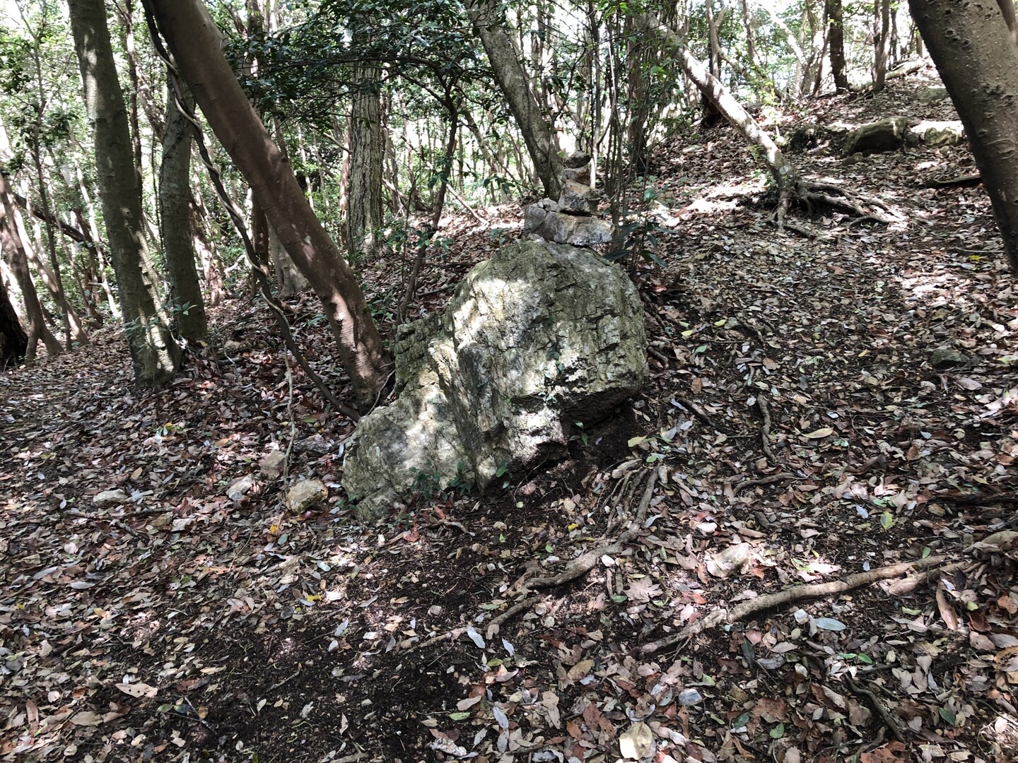 zaucatsさんの投稿したフィールドメモ | YAMAP / ヤマップ