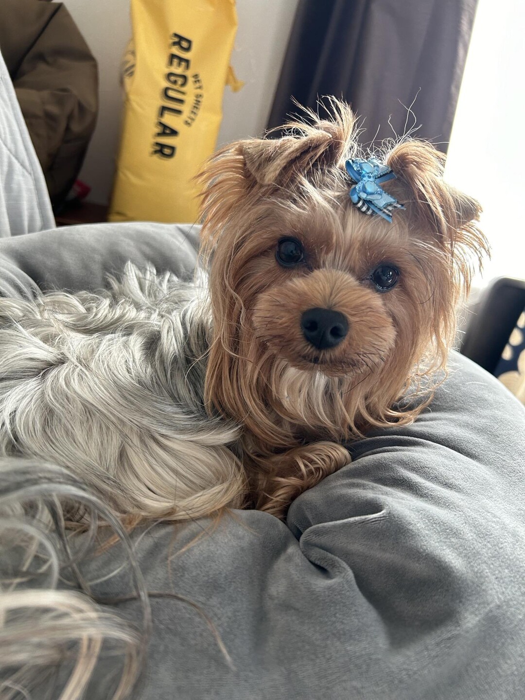 SAEのページ | YAMAP / ヤマップ