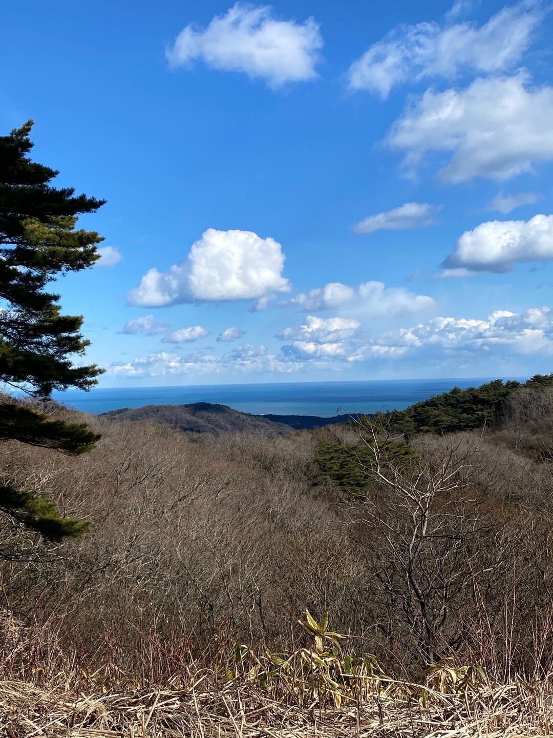 御岩山・高鈴山 / mikoさんの日立アルプストレイル・神峰山（神峯山）の活動データ | YAMAP / ヤマップ