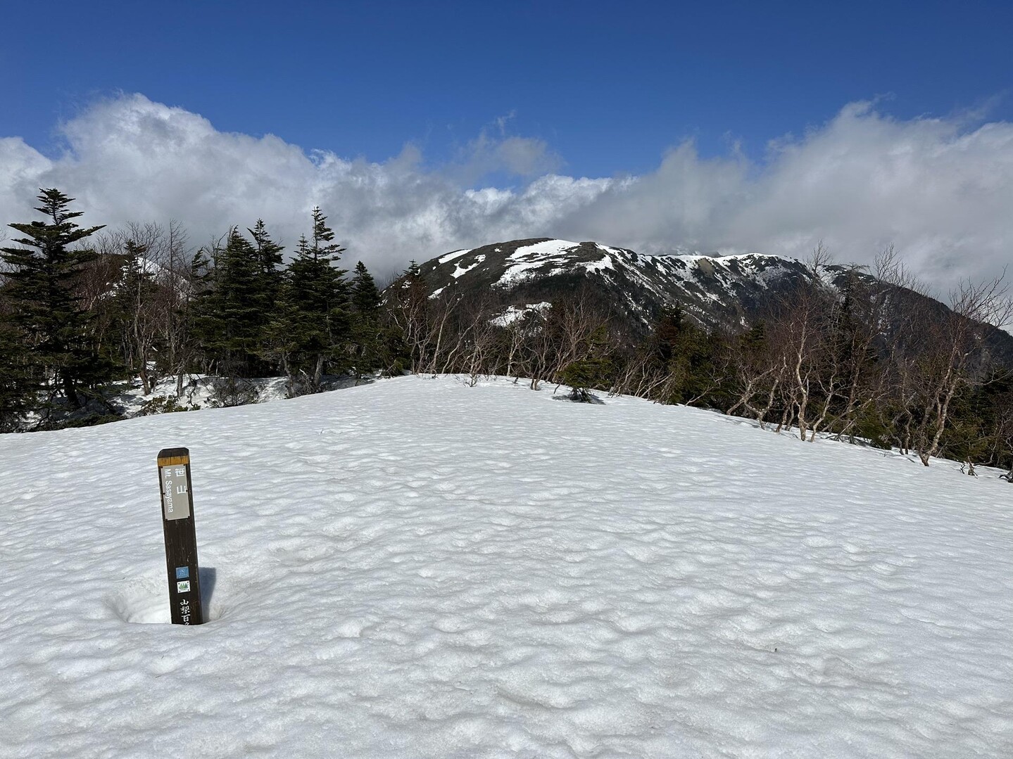急登2000m笹山(黒河内岳) / Tosiさんの黒河内岳（笹山）・白河内岳・白剥山の活動データ | YAMAP / ヤマップ