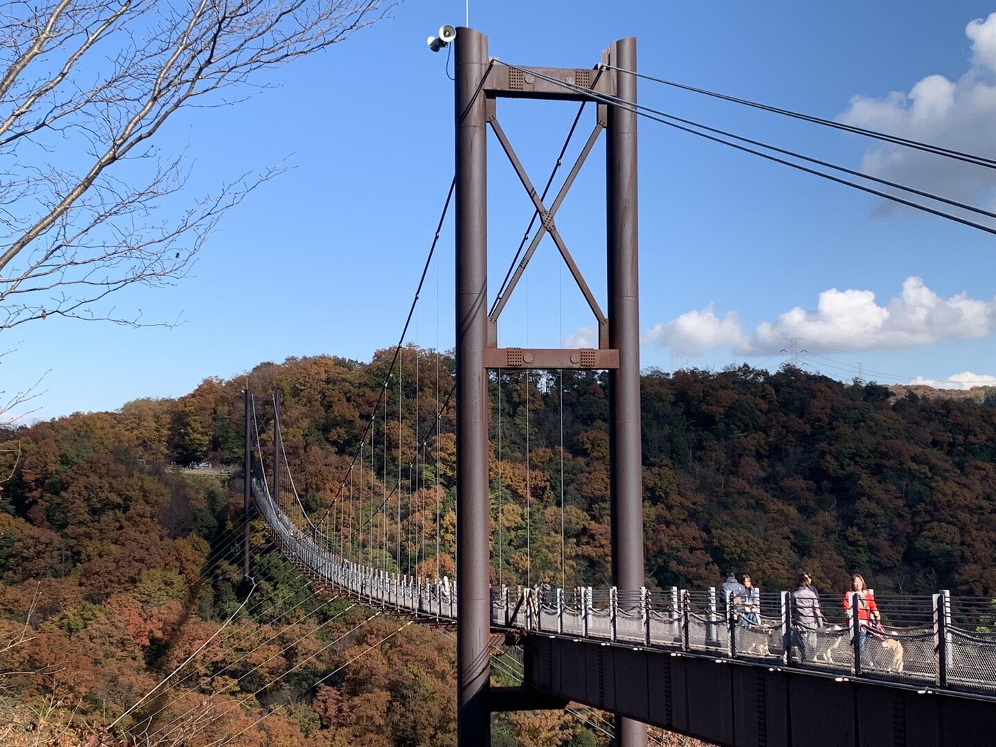 星のブランコ / takeさんの交野山・国見山の活動データ | YAMAP / ヤマップ
