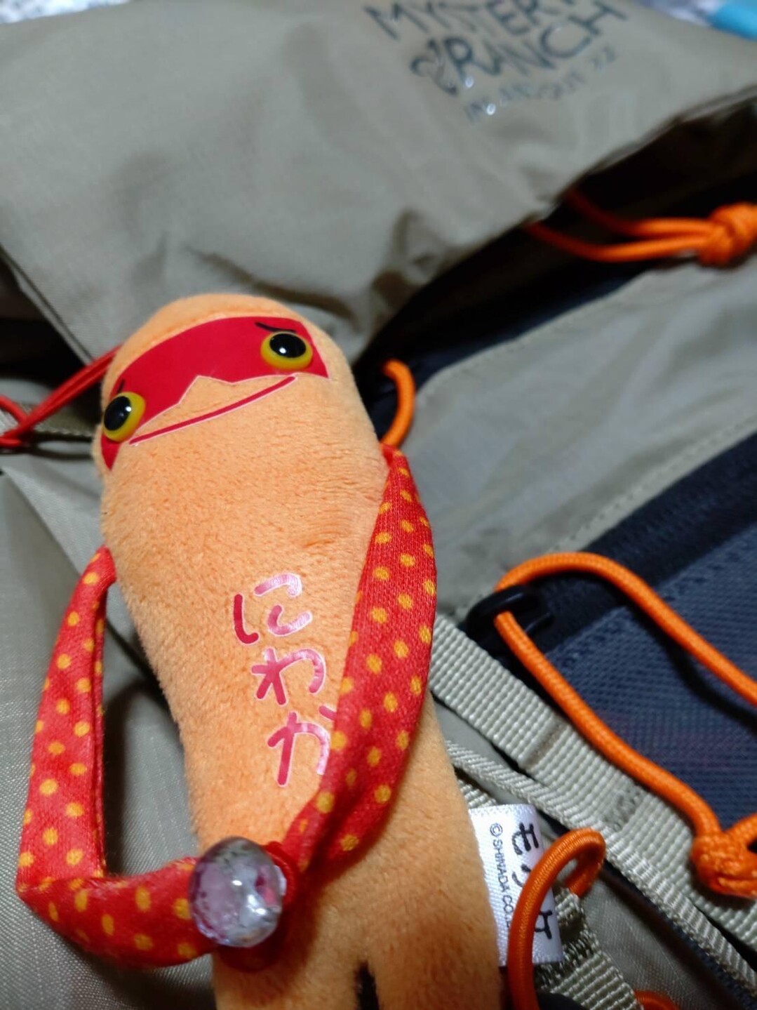 「モケケ」 ご当地モケケ355種類あるそ... / Kei707さんのモーメント | YAMAP / ヤマップ