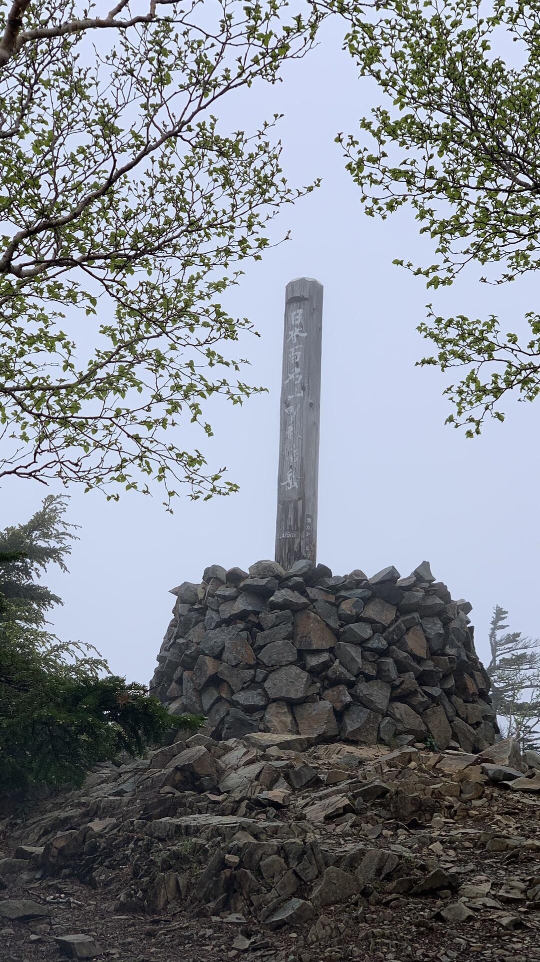 甲武信ヶ岳-2023-06-16 / R_tarouさんの甲武信ヶ岳の活動データ | YAMAP / ヤマップ