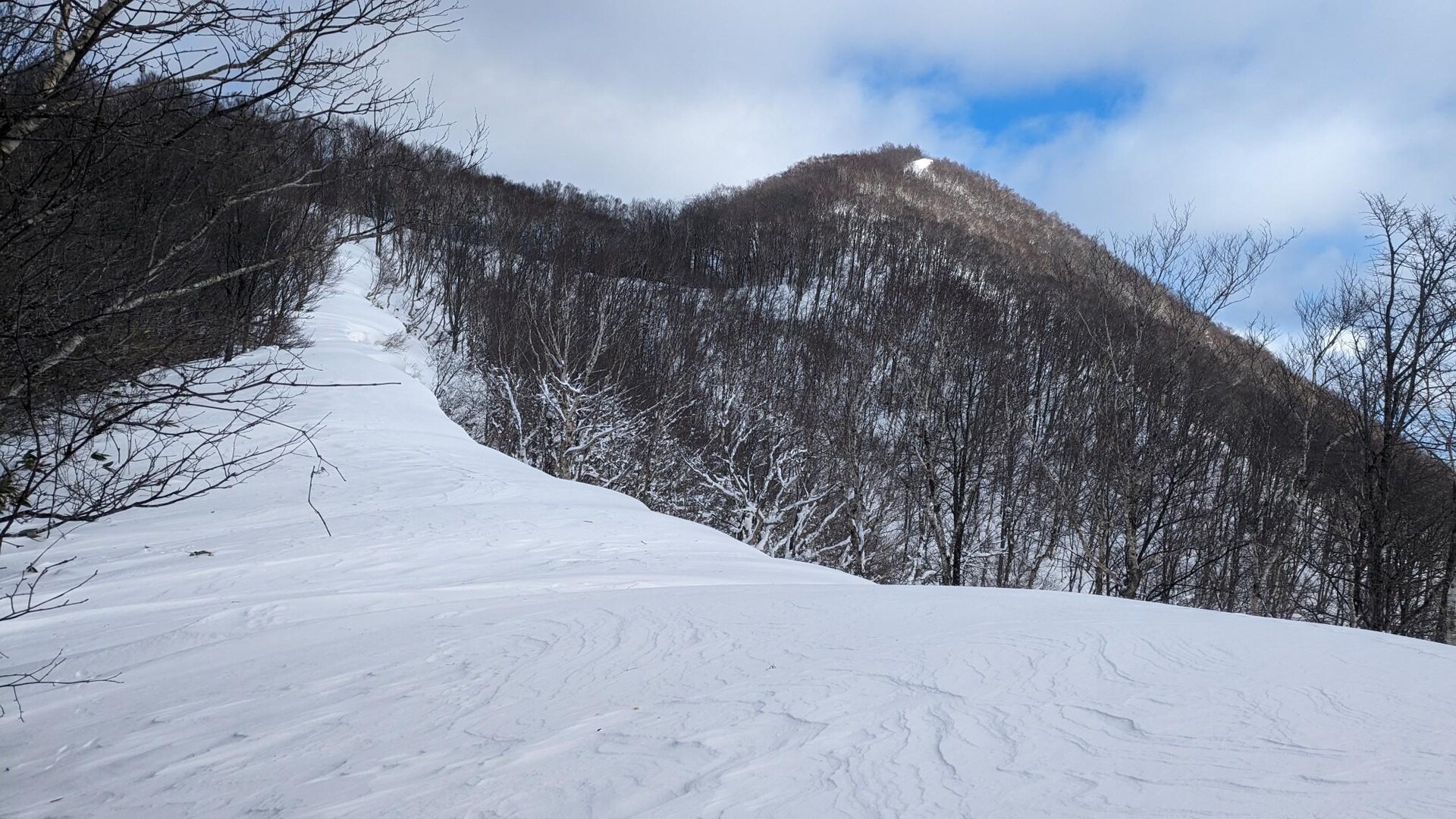 御月山･火箱山 2024/01/27 / るんたさんの岩手山・八幡平・安比高原 50km トレイルの活動データ | YAMAP / ヤマップ