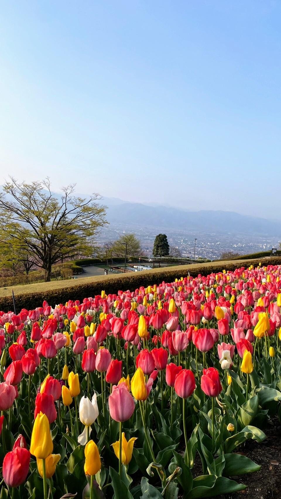 ユーザーMIKIのページ | YAMAP / ヤマップ