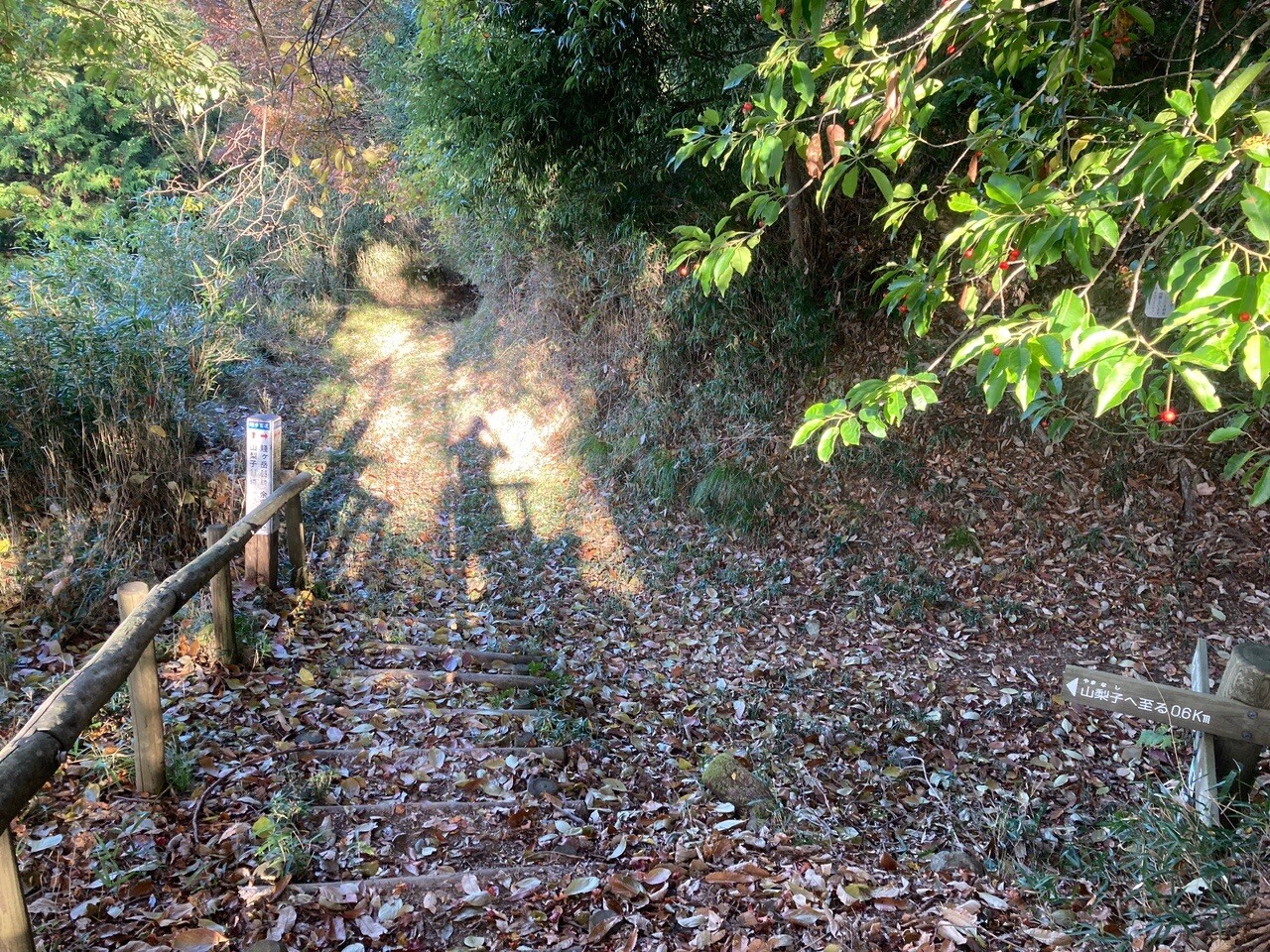 MJさんの投稿したフィールドメモ | YAMAP / ヤマップ