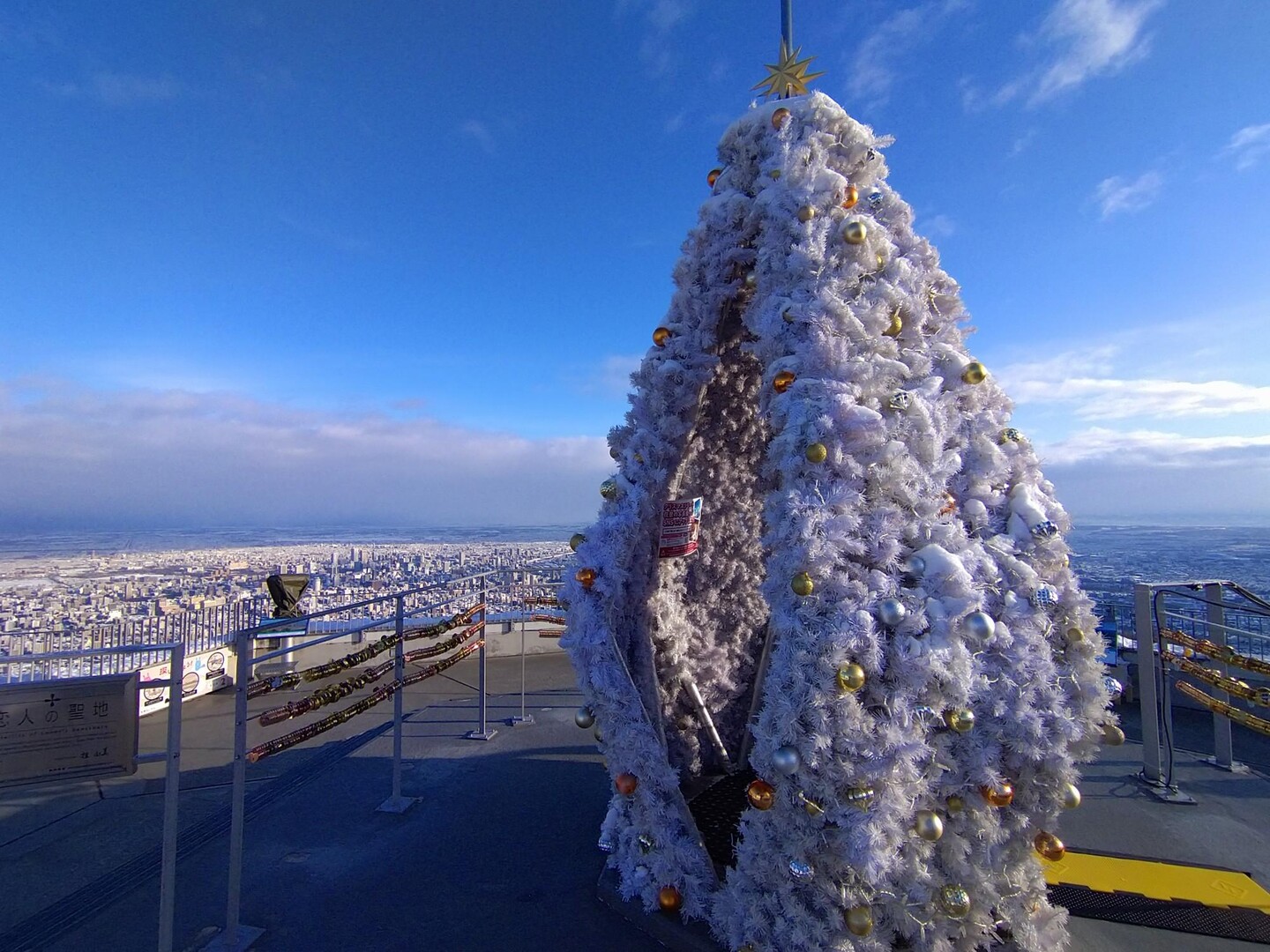 Moiwa in X'mas / エゾリスさんの藻岩山の活動データ | YAMAP / ヤマップ