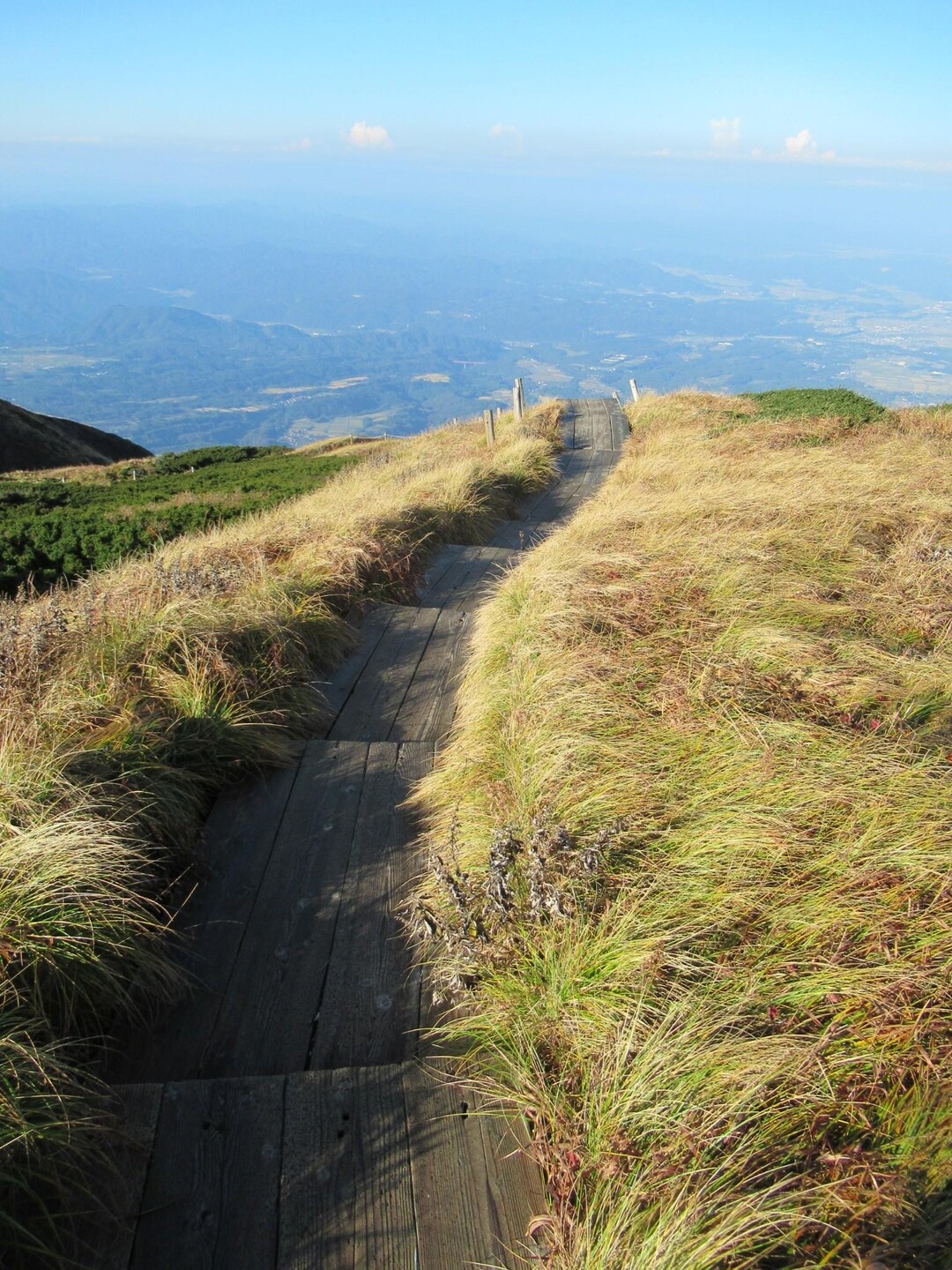 大山 / kenkenさんの大山・甲ヶ山・野田ヶ山の活動データ | YAMAP / ヤマップ