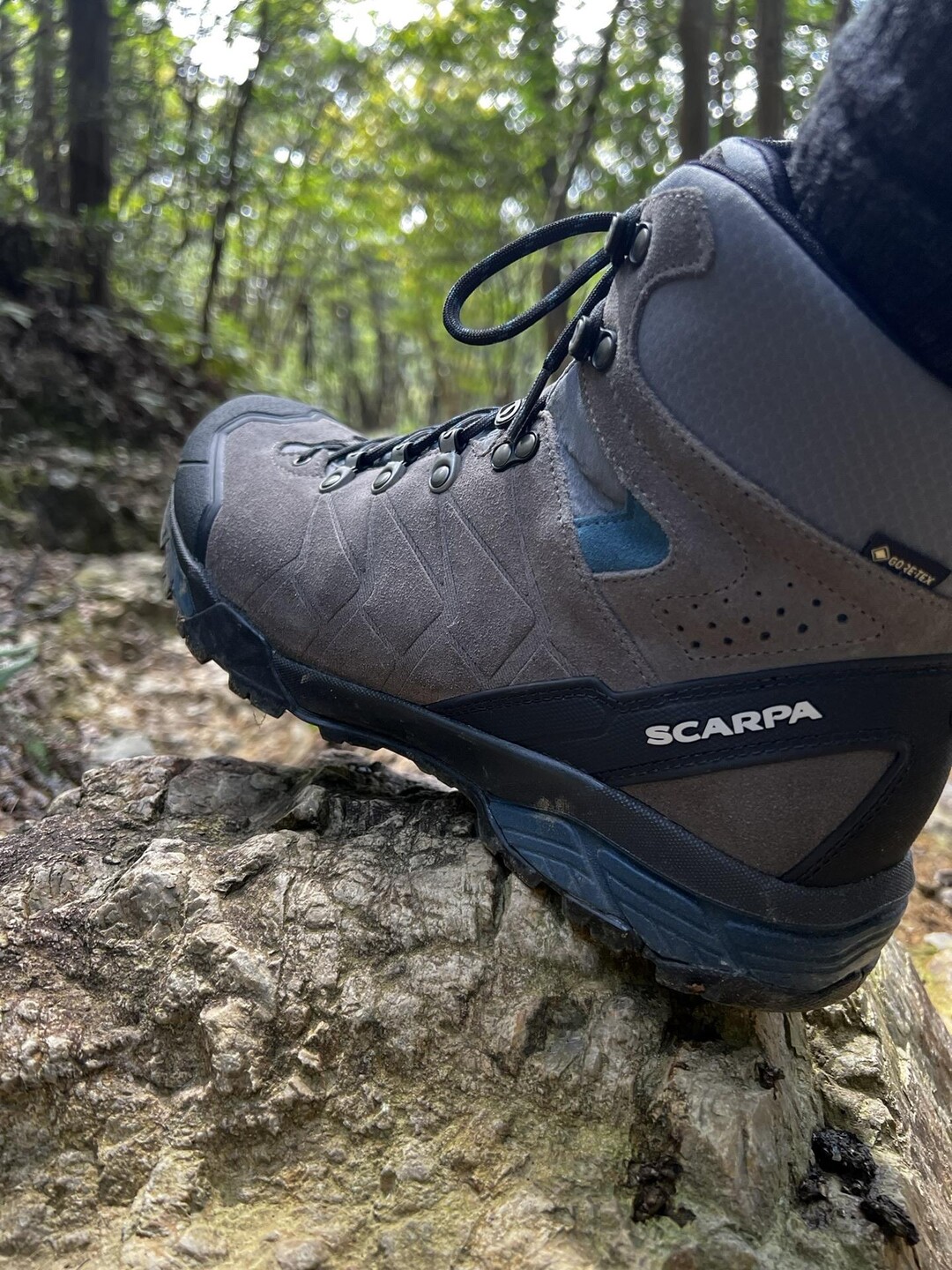 多度山久しぶり〜😆 / y_sakuさんの多度山・美濃松山・石津御嶽の活動データ | YAMAP / ヤマップ