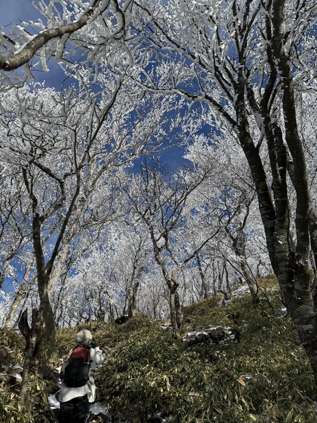 霧氷の赤城へ ️ / Shunさんの赤城山・黒檜山・荒山の活動データ | YAMAP / ヤマップ