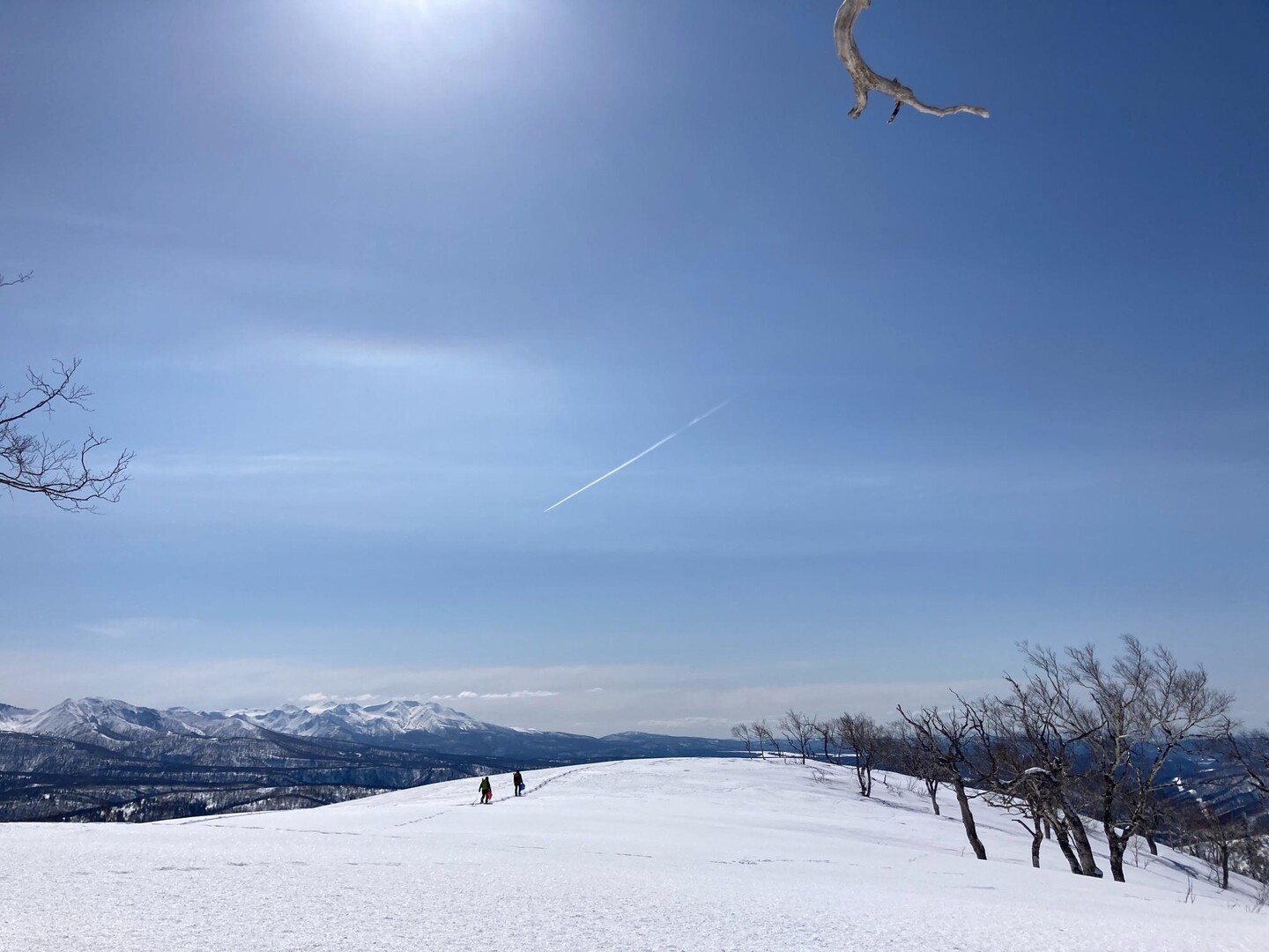 チトカニウシ山 / osa さんのチトカニウシ山の活動データ | YAMAP / ヤマップ
