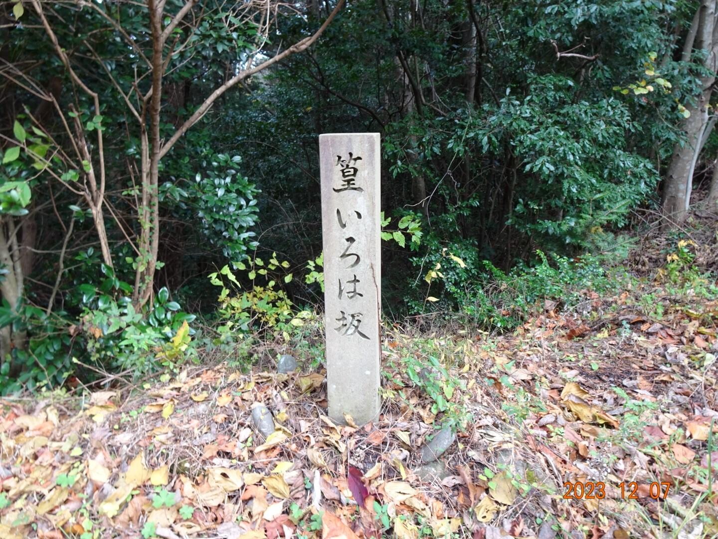 篁(たかむら)いろは坂。 / コックンさんのE-BIKE ADVENTURE OKI 島後の活動データ | YAMAP / ヤマップ