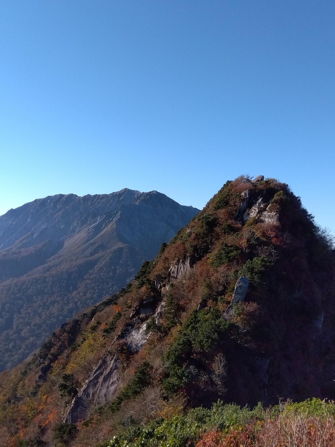 烏ヶ山 / Michiさんの大山・甲ヶ山・野田ヶ山の活動データ | YAMAP / ヤマップ