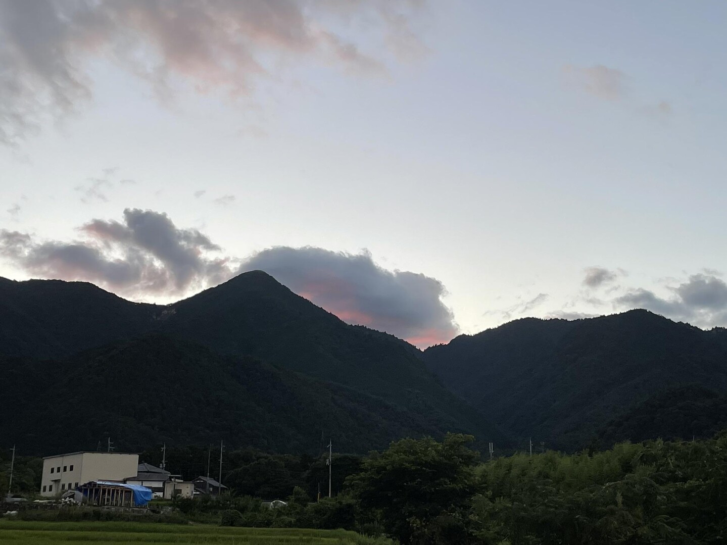 琵琶湖バレイから北比良峠まで縦走。虫と渇きとの戦い🐝🪰🫠 / Mocoさんの比良山地・武奈ヶ岳・釈迦岳の活動データ | YAMAP / ヤマップ