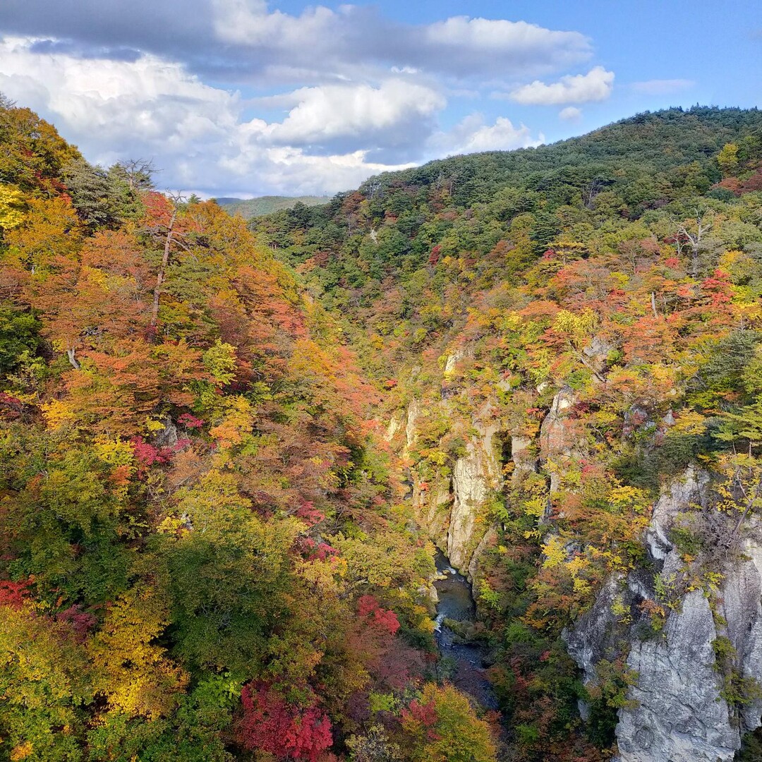 鳴子峡🍁🍂🚶 / jtyhじじさんのウォーキングの活動データ | YAMAP / ヤマップ