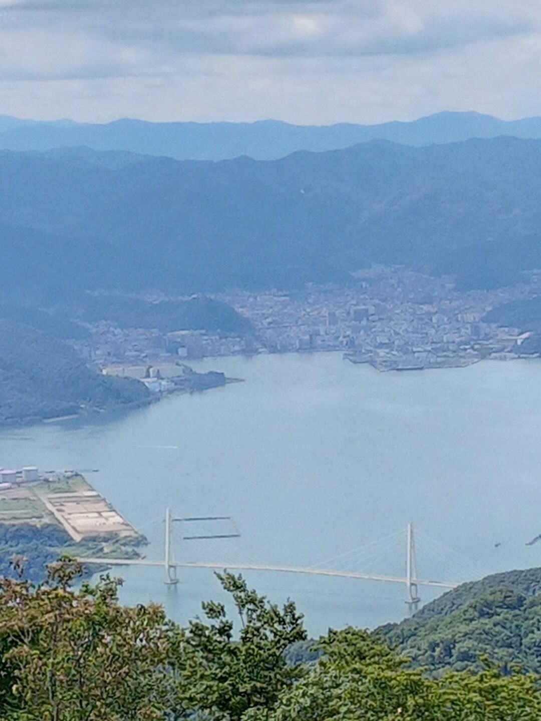 多禰山-2024-06-16 / yuusenさんの多祢山・空山の活動データ | YAMAP / ヤマップ