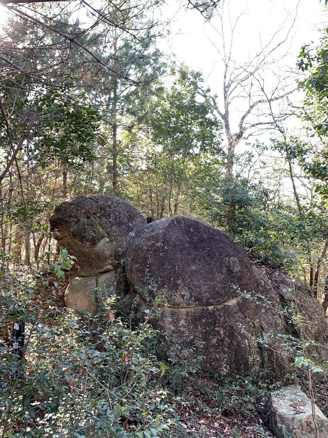 祇園岳・亀山・的場山・鶏籠山 / YMO.Kさんの亀山・鶏籠山・的場山の活動データ | YAMAP / ヤマップ