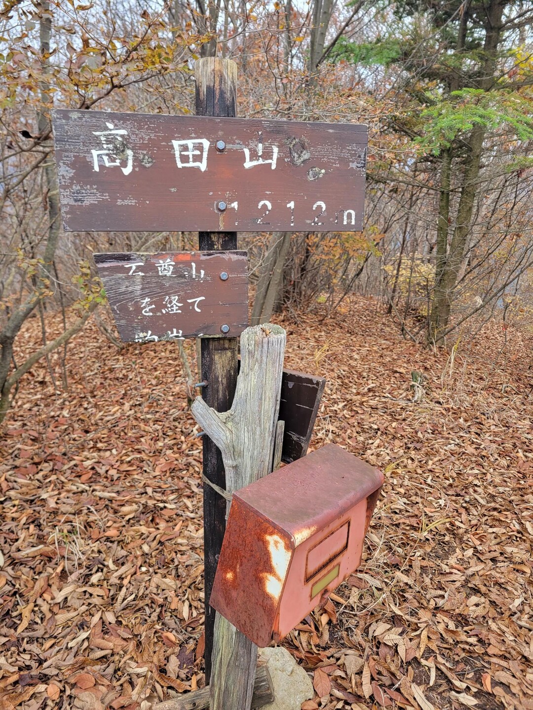 石尊山⛰️高田山⛰️ 紅葉🍁登山⛰️の巻💠 / Toshiakiさんの高田山・有笠山の活動データ | YAMAP / ヤマップ