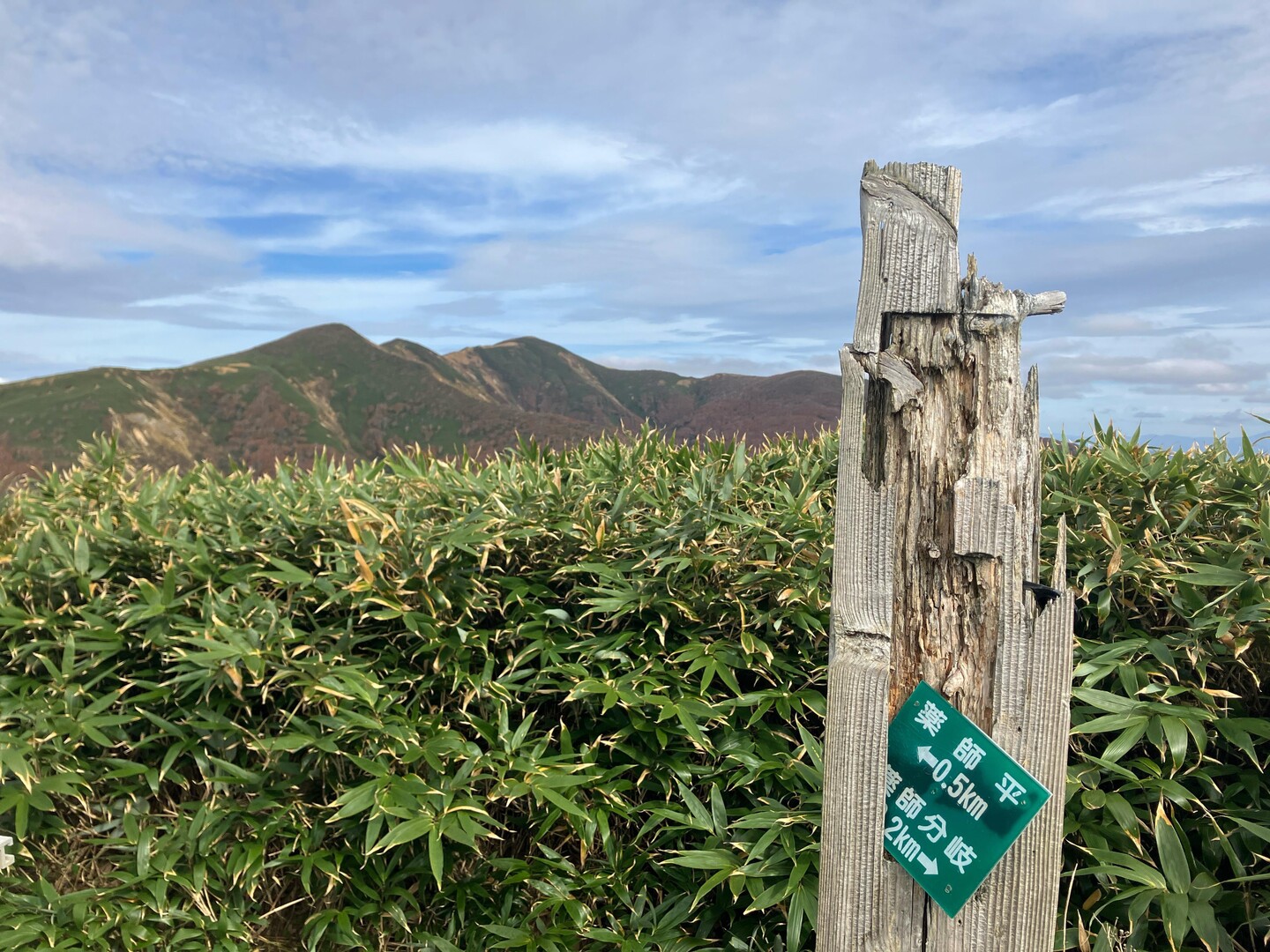 薬師岳往復 / 南部富士さんの和賀岳・薬師岳・高下岳の活動データ | YAMAP / ヤマップ