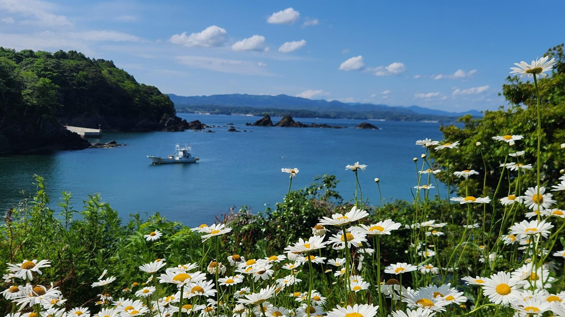 2座目 保呂羽山(南三陸) ⛴Sea to Summit🌊 / Binさんの保呂羽山の活動データ | YAMAP / ヤマップ