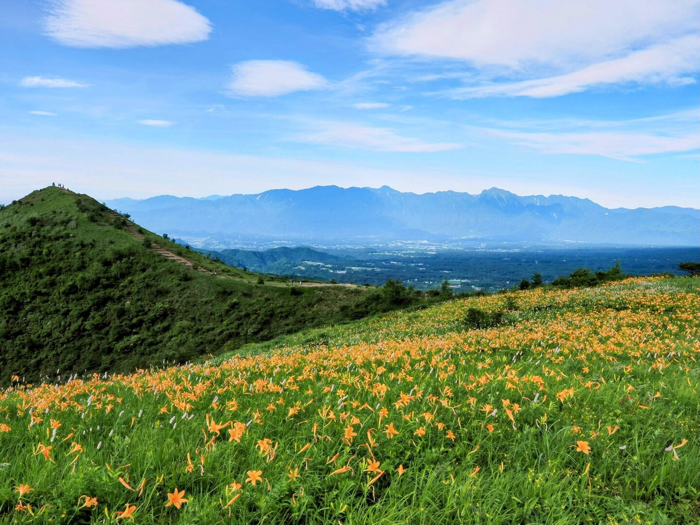 キスゲ咲く山⛰大盛山・飯盛山 / capetaさんの飯盛山の活動データ | YAMAP / ヤマップ