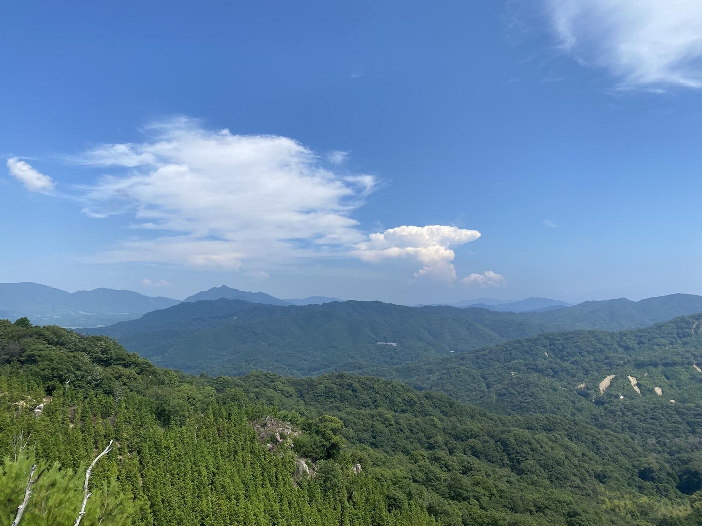 竜ヶ岳・大黒山-2023-07-27 / teっちゃんさんの竜ヶ岳・大黒山の活動日記 | YAMAP / ヤマップ