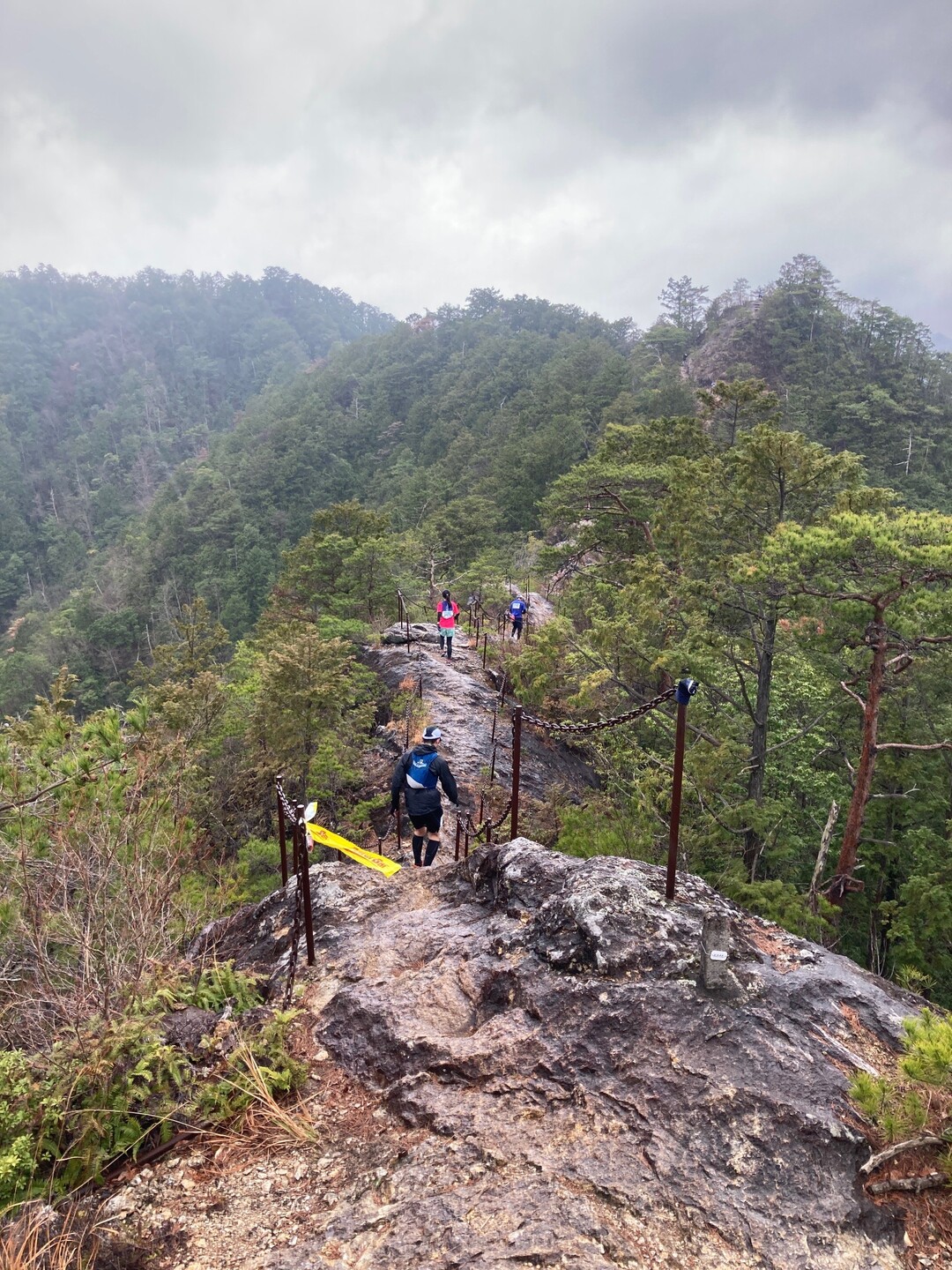OSJ新城トレイル11k -2022-03-26 / ひでさんの宇連山・鳳来寺山・岩古谷山の活動データ | YAMAP / ヤマップ