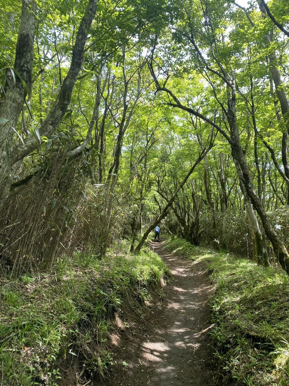 sachyがフォローしているユーザー一覧 | YAMAP / ヤマップ