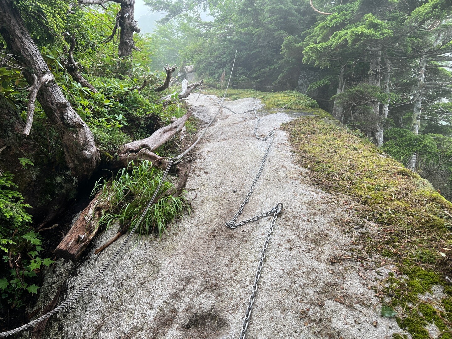 奈良かずさんの投稿したフィールドメモ | YAMAP / ヤマップ