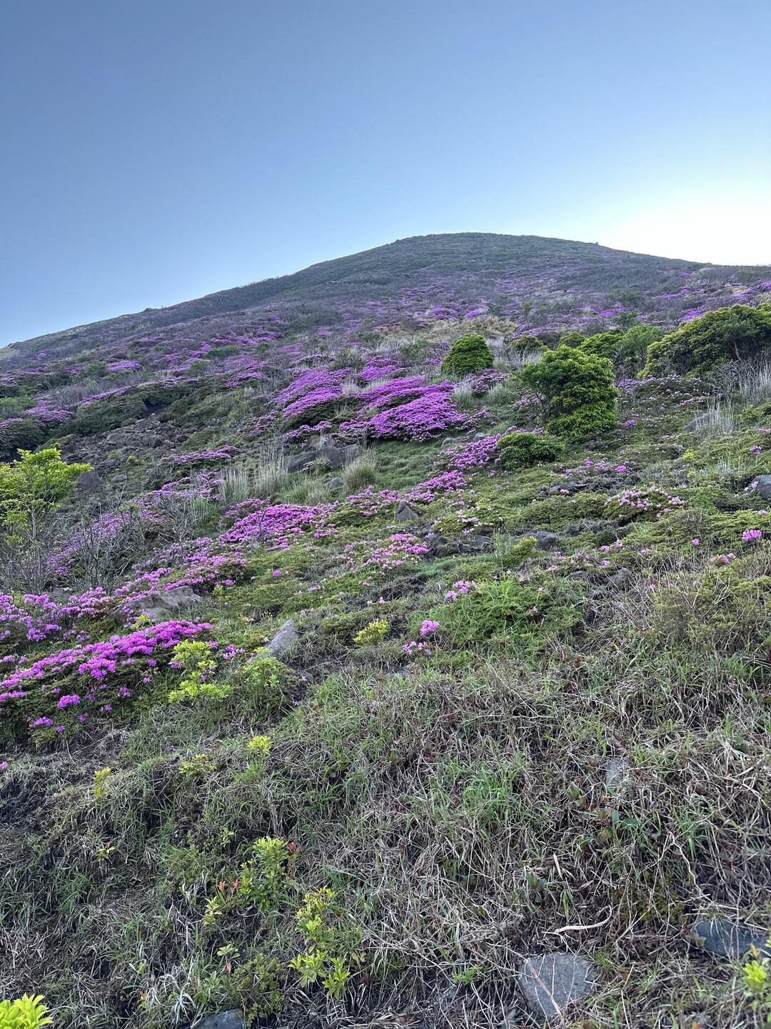Nero-Piさんの投稿したフィールドメモ | YAMAP / ヤマップ