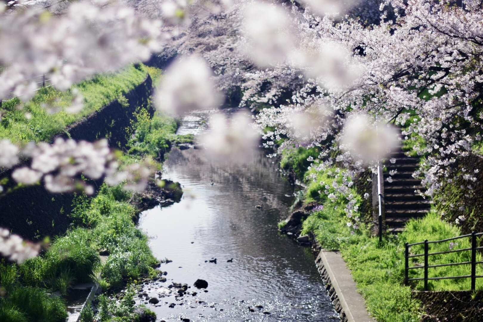 早朝ラン / YUHYAさんのモーメント | YAMAP / ヤマップ