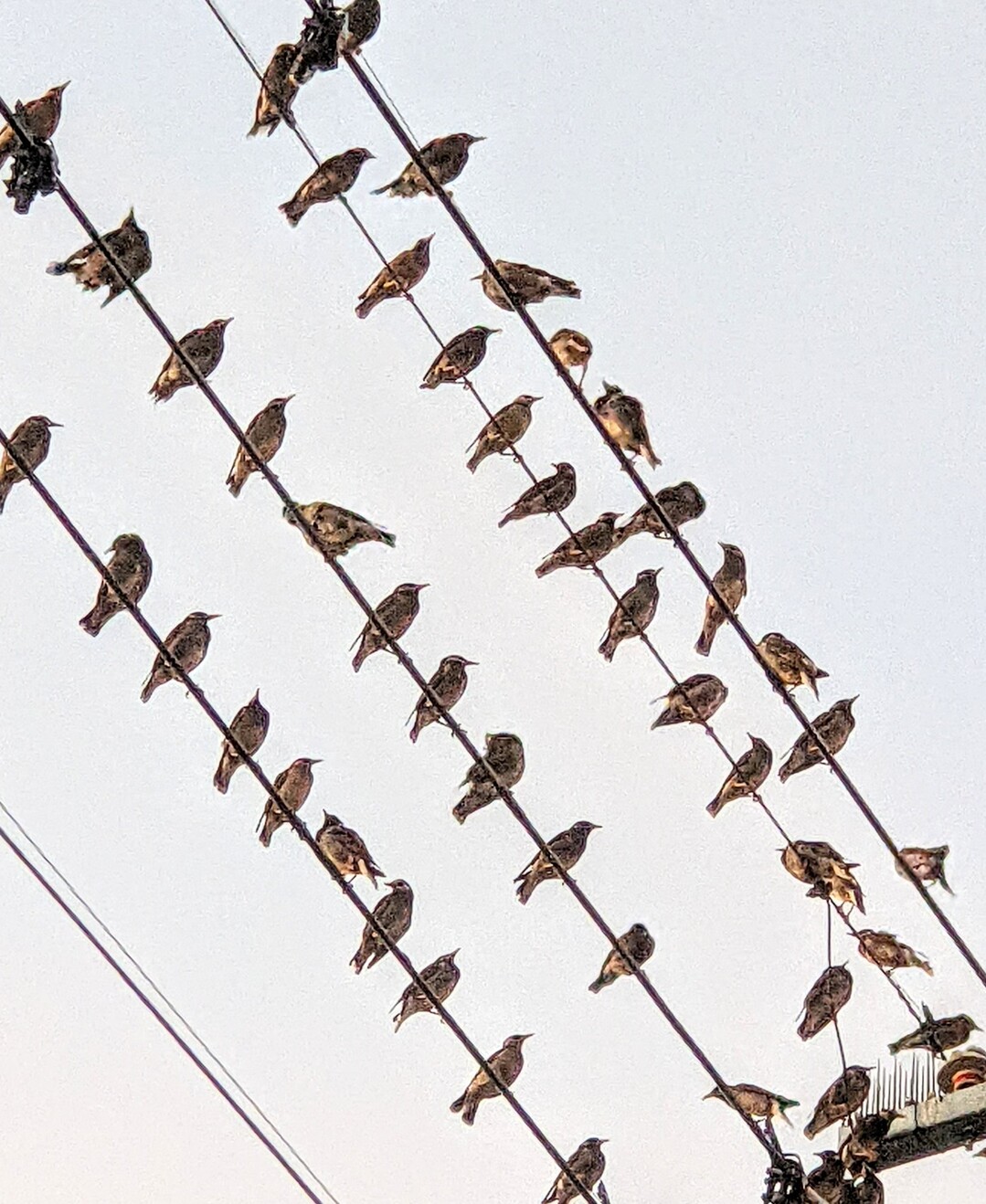 人数制限緩和 / スネークさんのモーメント | YAMAP / ヤマップ